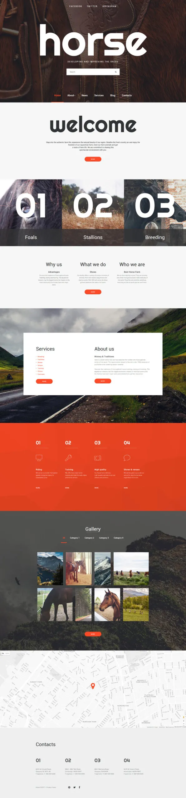 Horse - Horse Farm Animals Website Template - Ready4site